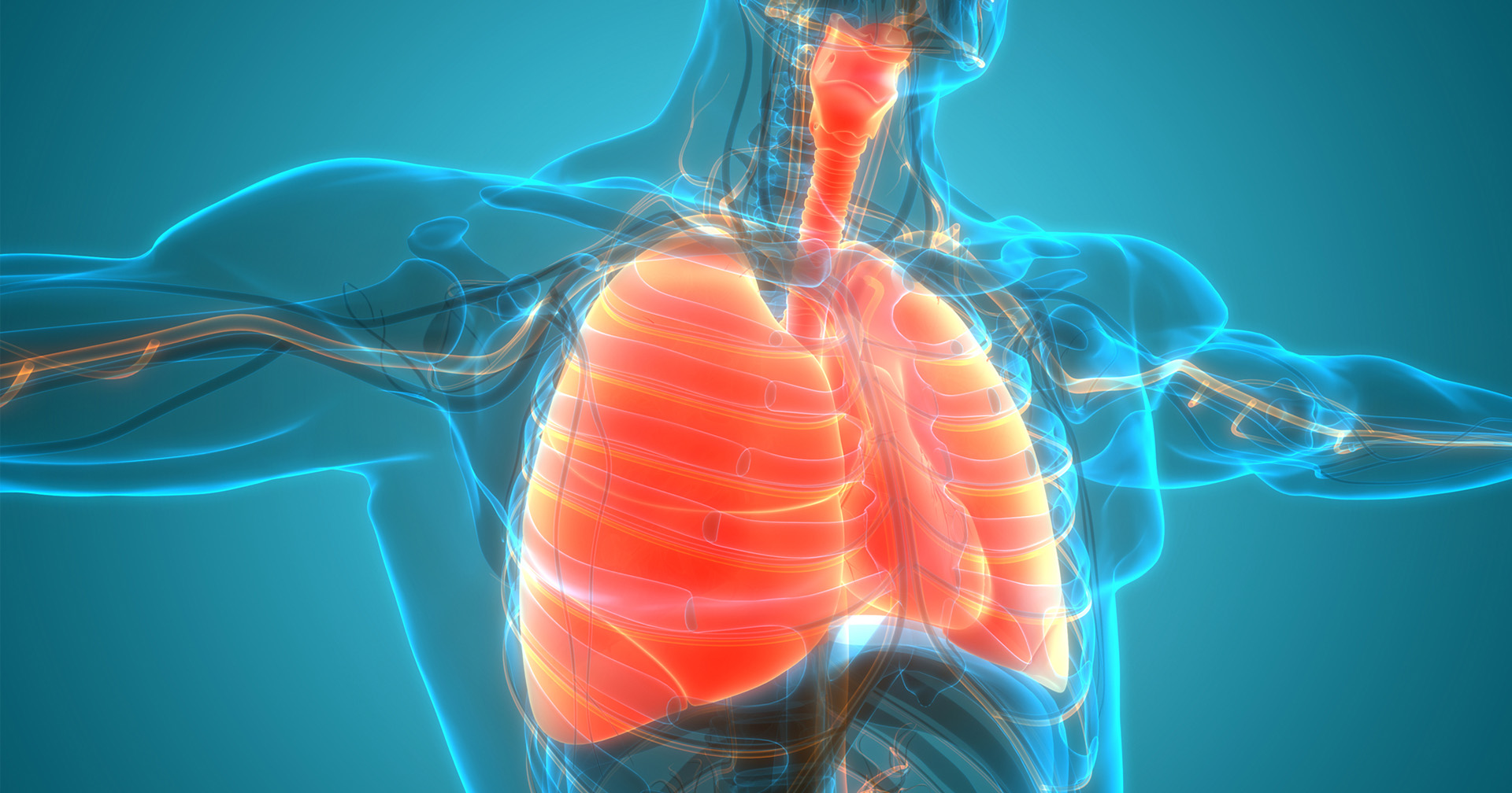 Thoracic Surgery - Ephraim McDowell Health